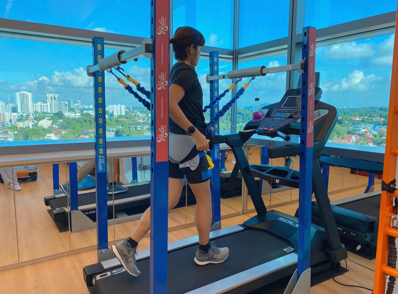 Medial Collateral Ligament (MCL) Injuries